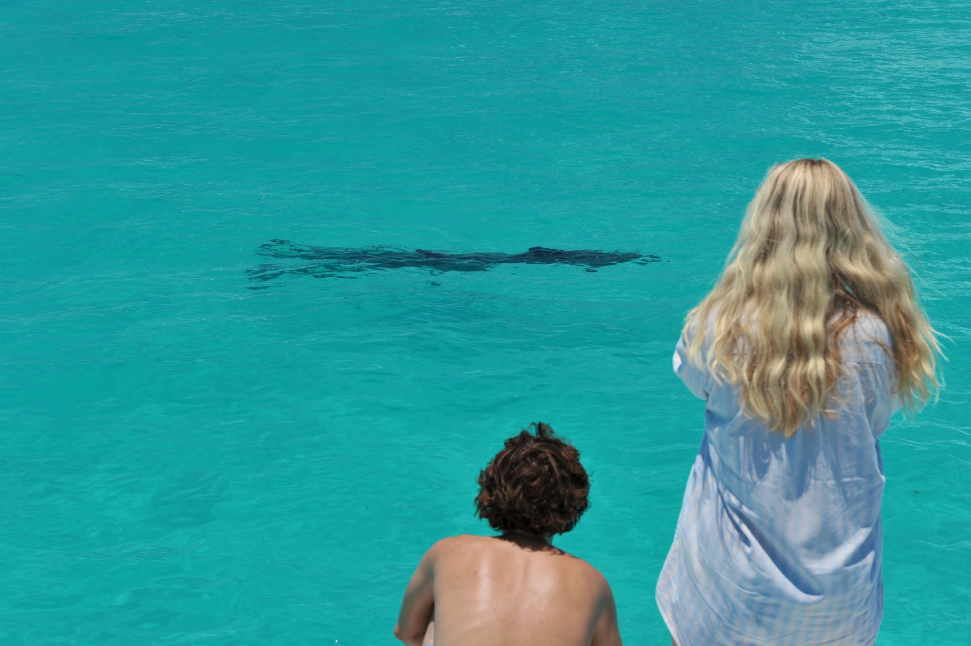 Key West Dolphin Tour and Snorkel Cruise