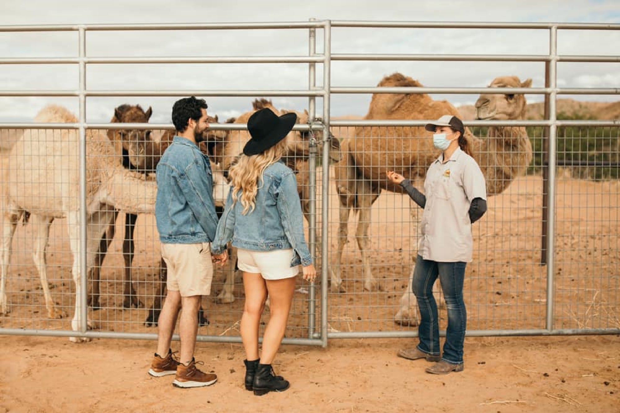 Las Vegas UTV Adventure and Camel Safari Zoo Tour