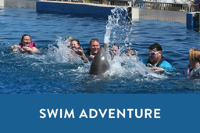 Marineland Dolphin Adventures - St. Augustine, Florida | Tripster