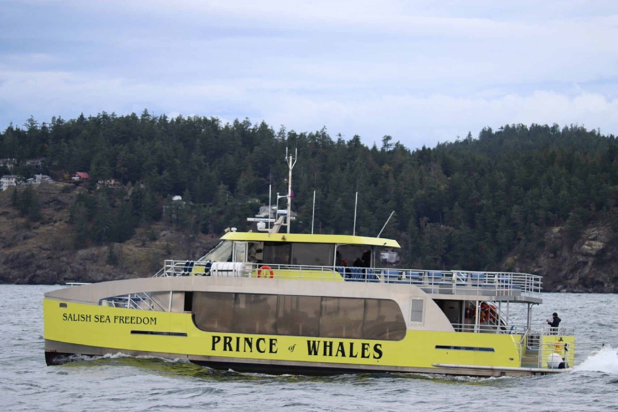 Prince of Whales Vancouver Whale Watching Tours