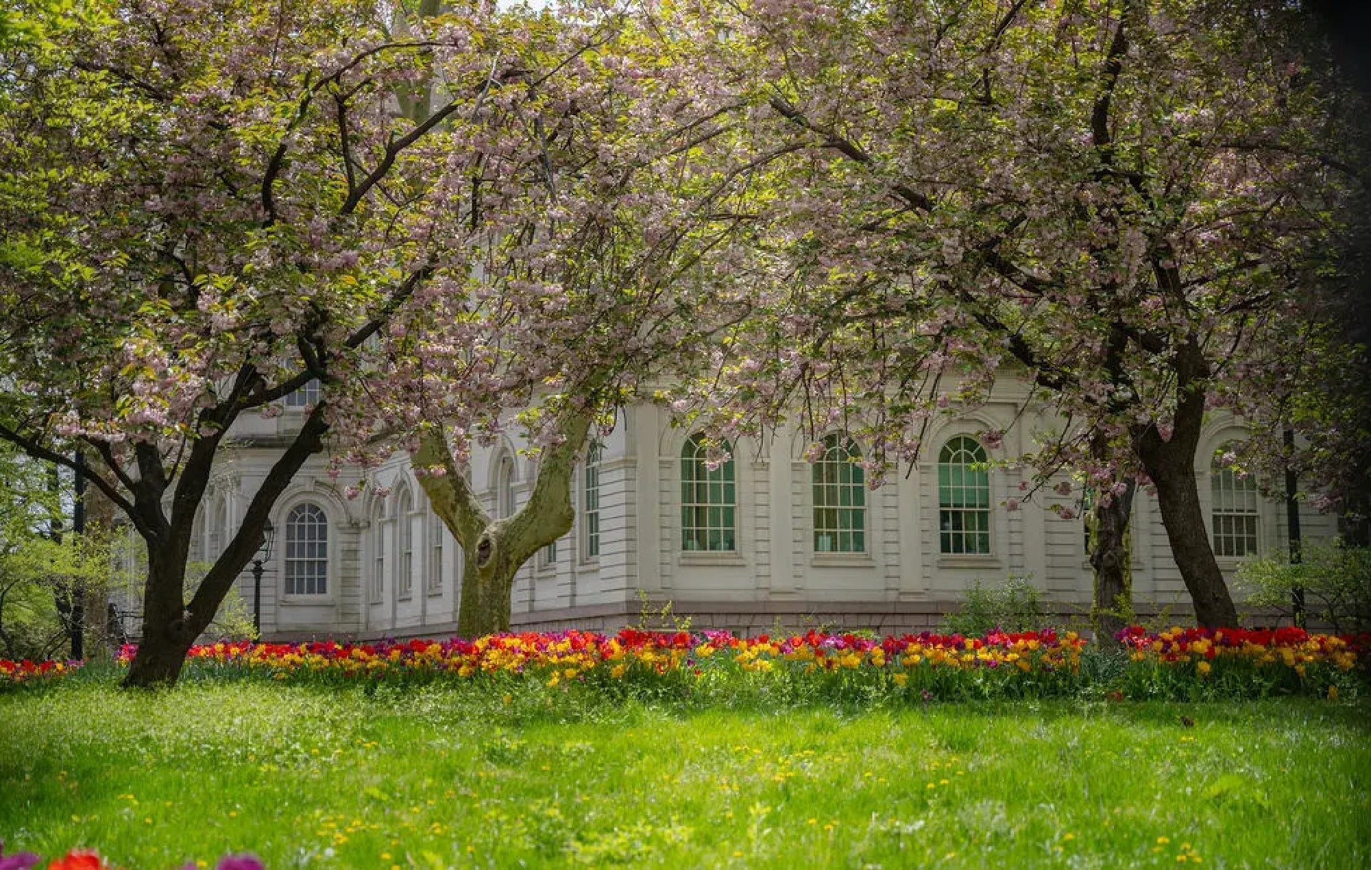 NYC Walking Tour: SoHo, Chinatown & Little Italy