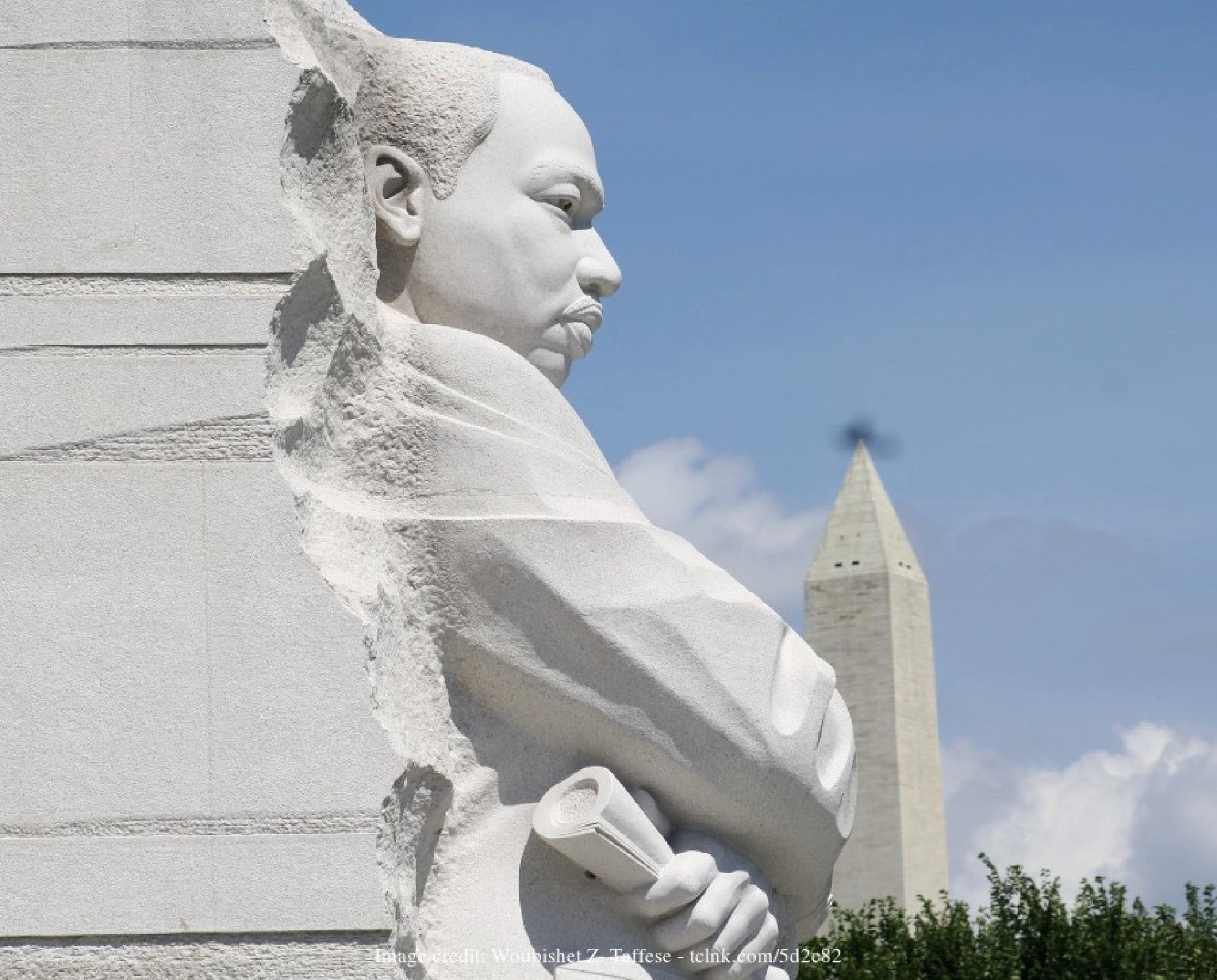 Private Full-Day Walking Tour of Washington DC