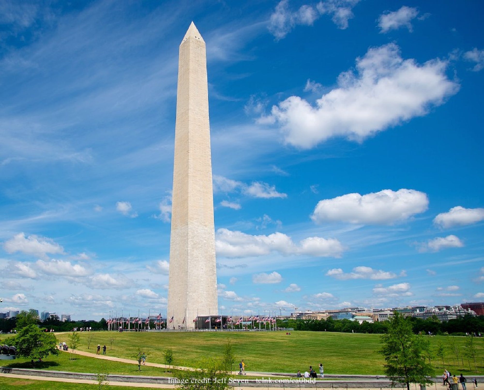 Private Full-Day Walking Tour of Washington DC