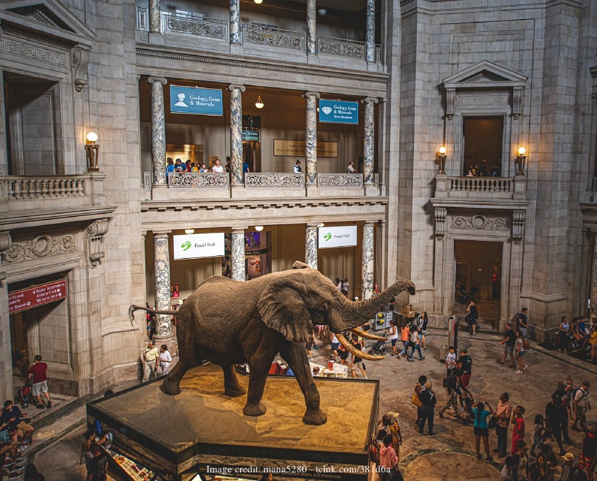 Private Guided Tour of Two Smithsonian Museums