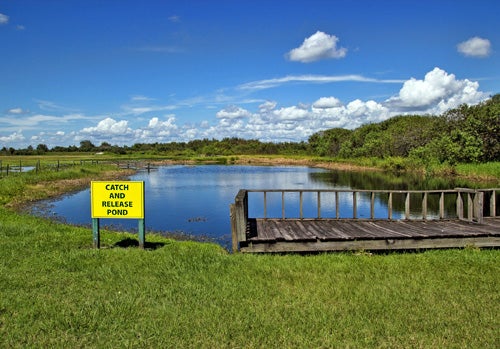 Westgate River Ranch Resort - River Ranch, FL