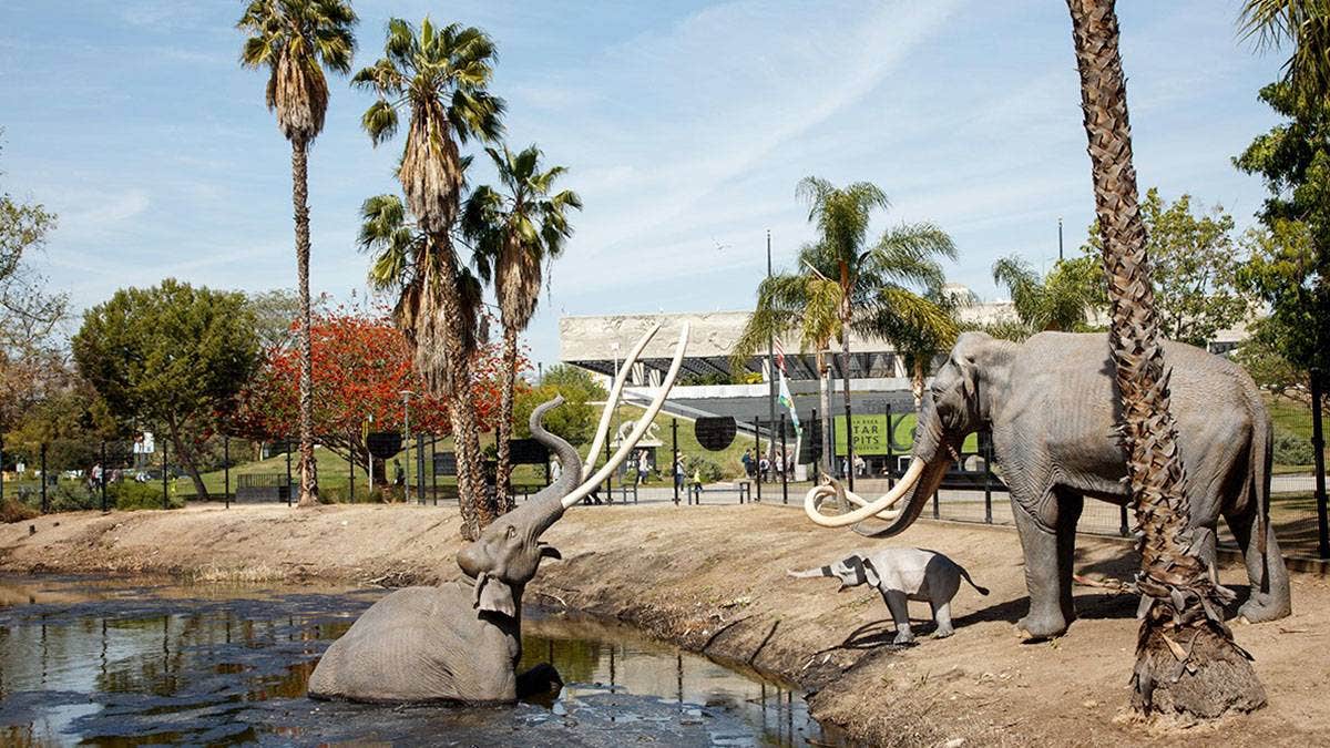La Brea Tar Pits Discount Code: Save Up To 49% Off Now (2026)