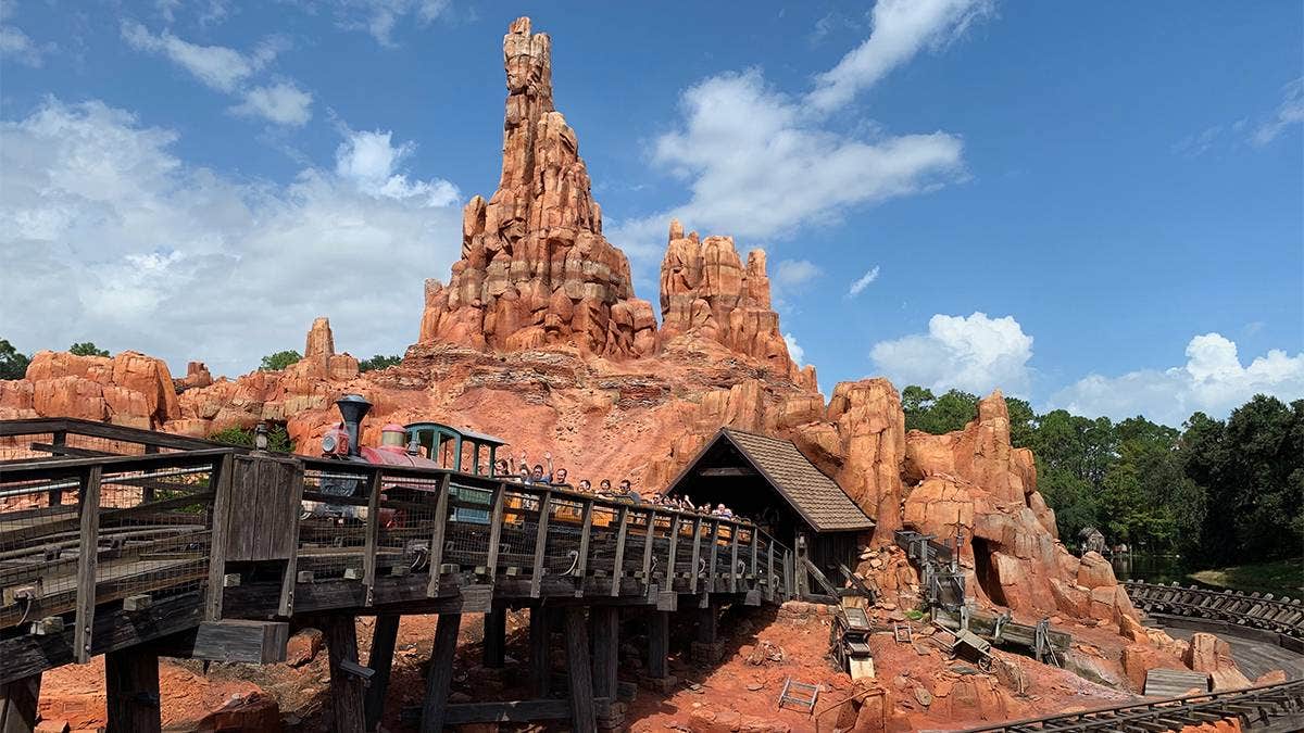 Disney Fuel Rod: Gimmick or Useful? All You Need to Know!