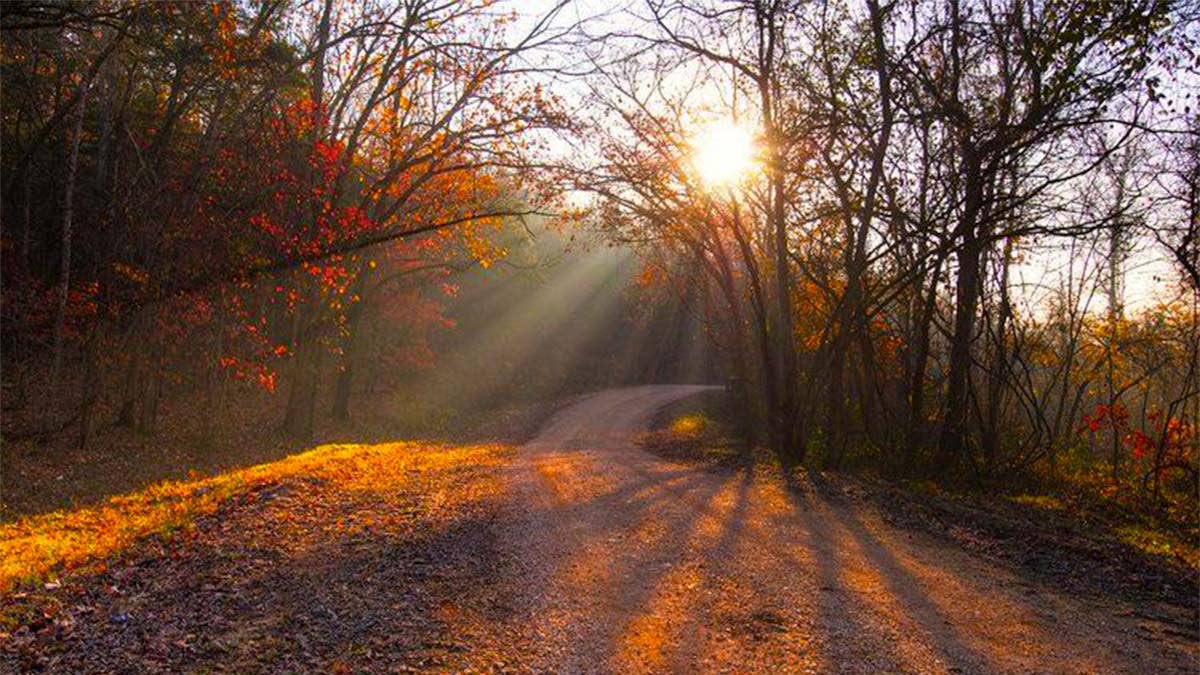 Branson Fall Colors - Best Drives, Activities & More for 2025