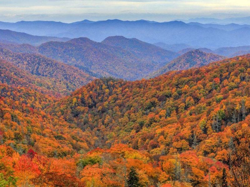 When to See Peak Pigeon Forge Fall Foliage