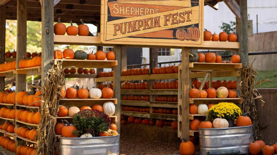 13 Best Things to Do In Branson in the Fall