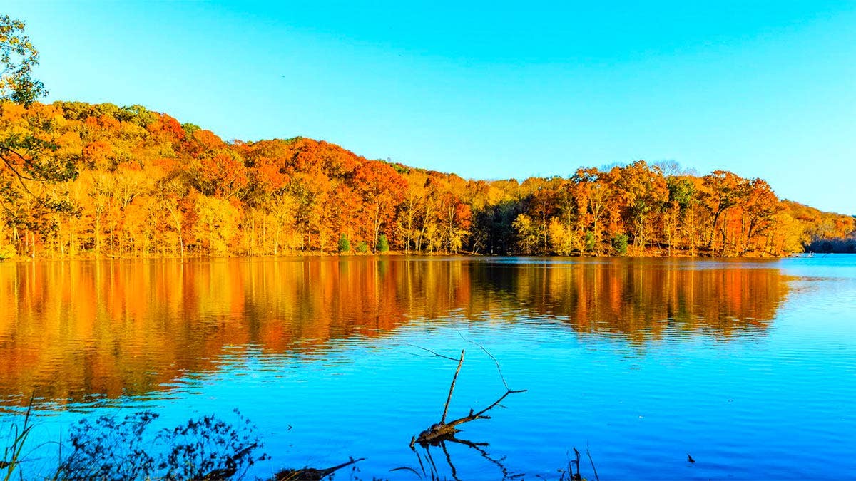 Nashville in the Fall: 2024 Festivals and Foliage Guide