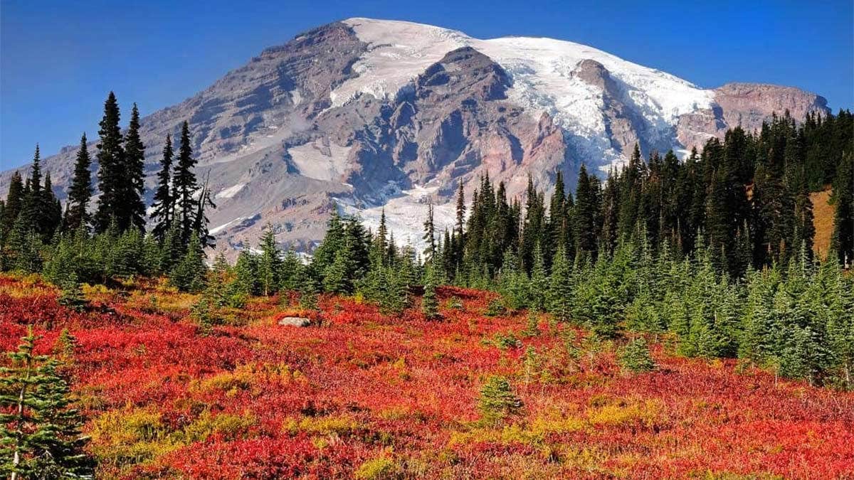 Seattle Fall 2024 Festivals and Foliage Guide