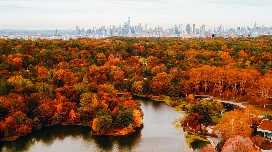 New York City Fall: 2023 Festivals and Foliage Guide