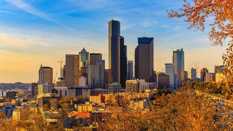 Fall in Seattle: 2024 Festivals and Foliage Guide