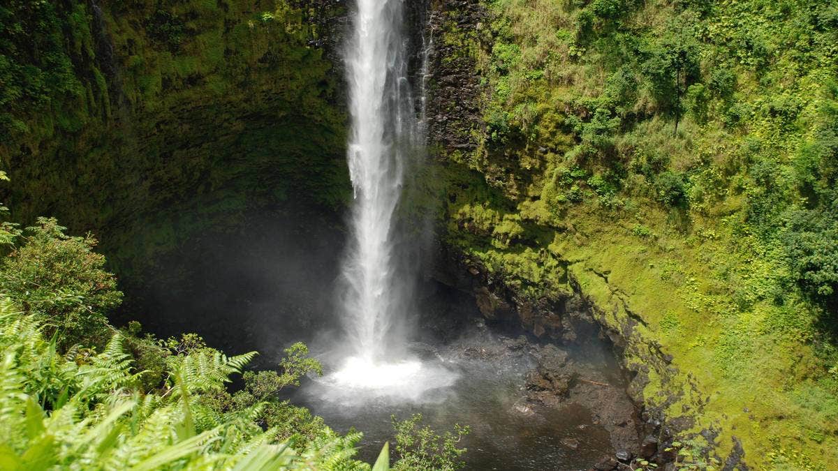 Kohala Waterfalls Hawaii: Guide to Waterfalls on the Big Island