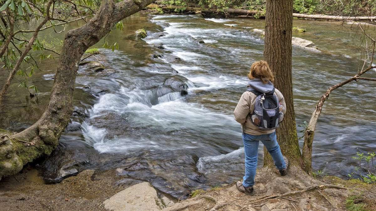 Abrams Falls: In-Depth Guide to Serenity and Spectacular Views