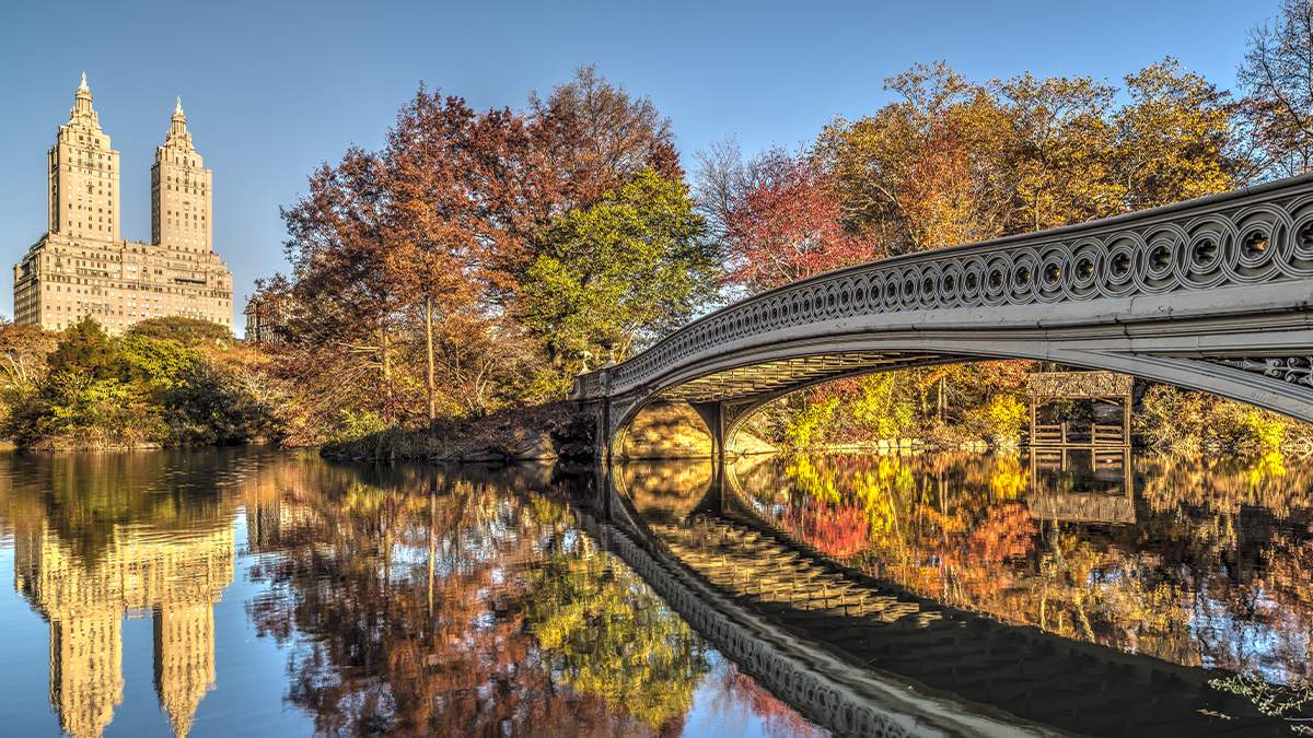 Central Park New York Central Park New York