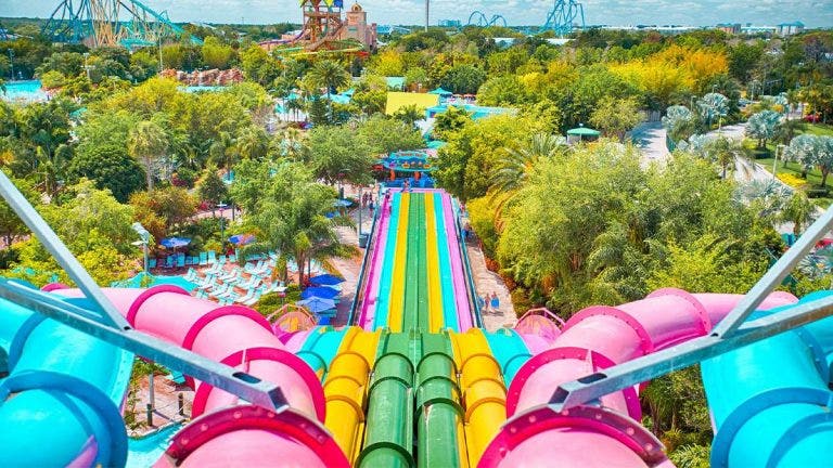 SeaWorld Orlando Tips: 2025 Insider's Guide to the Park