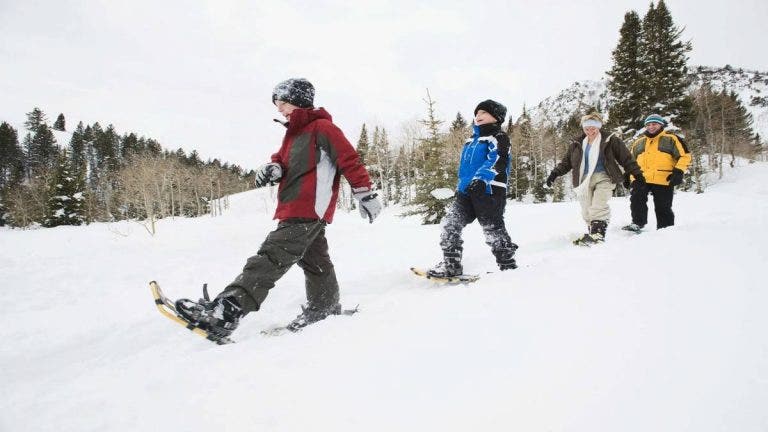 Best Time to Visit Alaska: Season-by-Season Guide