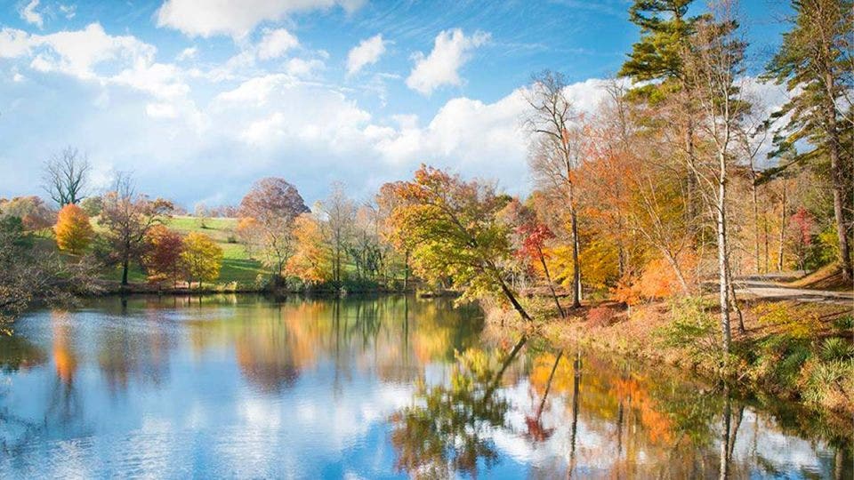 Biltmore in the Fall – Leaf Spots, Fall Fun & Smart Tips for 2025