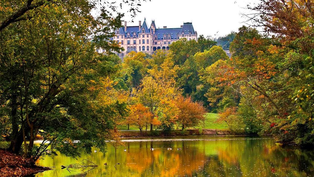 Biltmore in the Fall – Leaf Spots, Fall Fun & Smart Tips for 2025