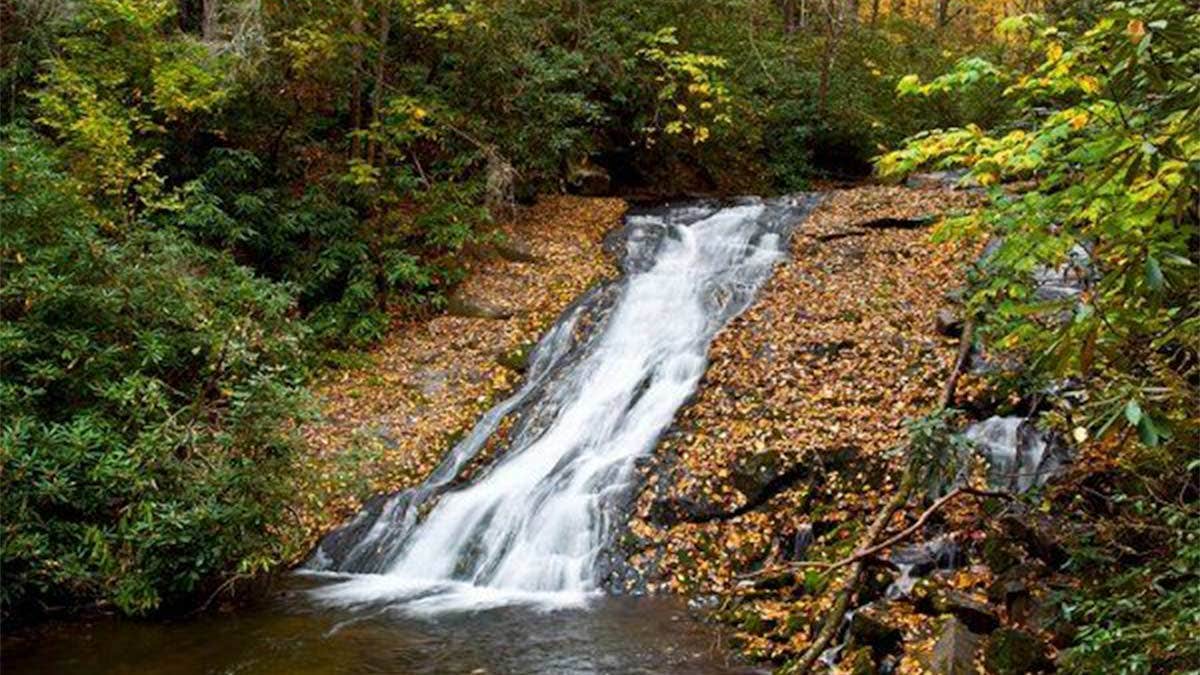 Grotto Falls Trail: Practical Guide to Gatlinburg’s Misty Marvel