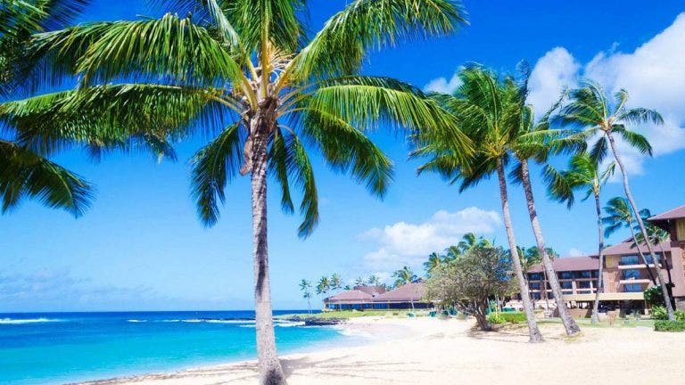 10 Irresistible Reasons to Go to Hawaii: Aloha Adventure Awaits!