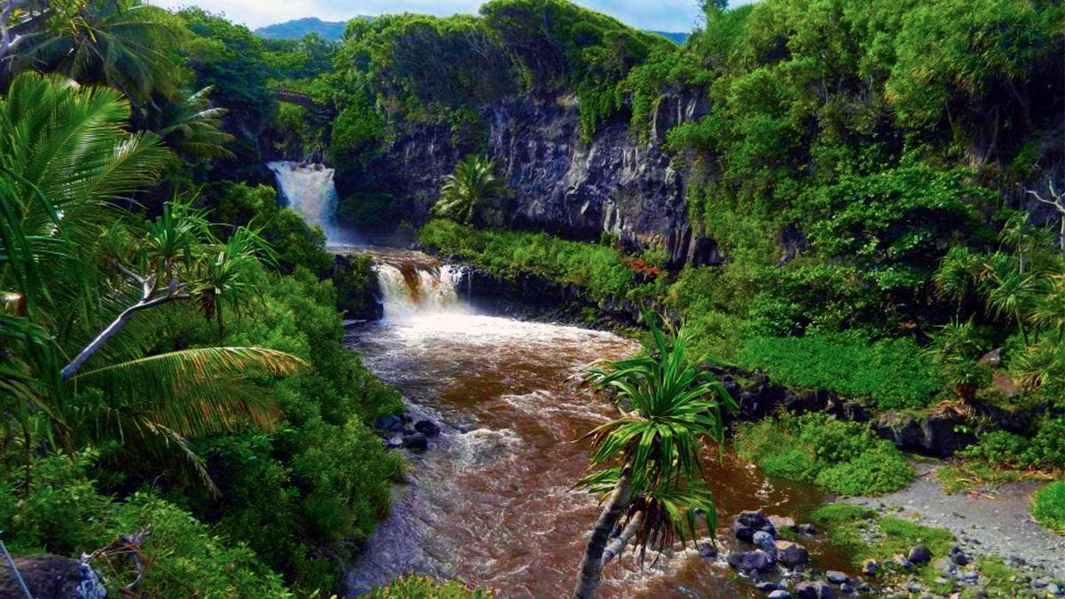 19 Top Maui Road to Hana Stops for Every Traveler 🌴