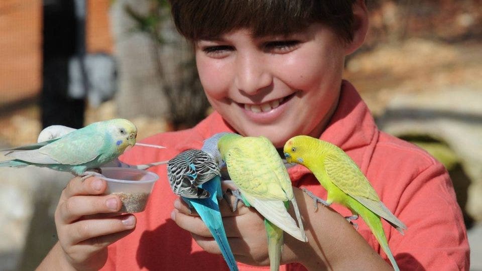 Zoo Miami Discount Code: Save Up To 35% Off Today (2026)
