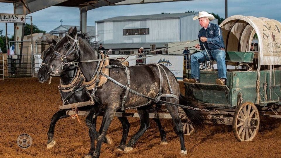 Austin Rodeo 2025: Uncover Why This is a Can't-Miss Experience
