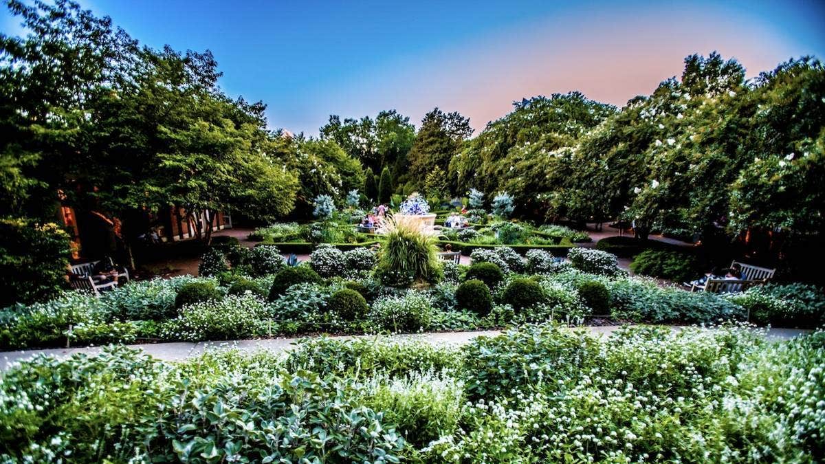 Atlanta Botanical Garden: Tickets, Tips, & What Not to Do