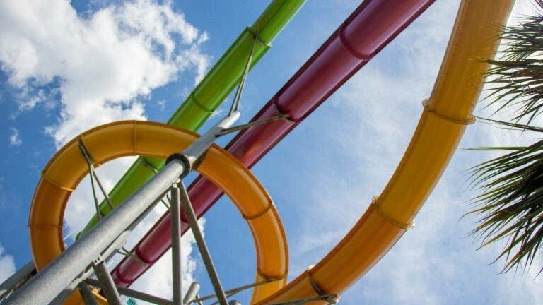 Wild Adventures Rides: What’s the Best Strategy for an Epic Day?