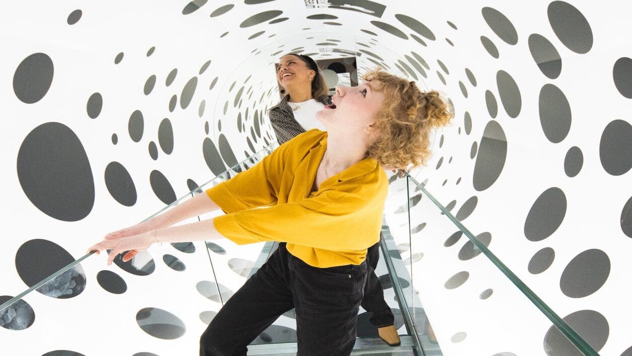 Paradox Museum Miami: 6 Ways to Save Up to 12% Off