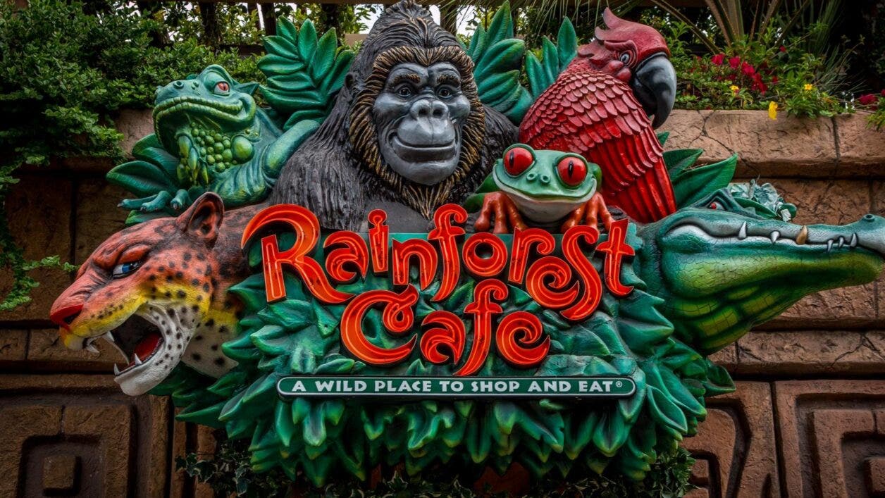 Rainforest Cafe Animal Kingdom: Menu, Hours, Location & More