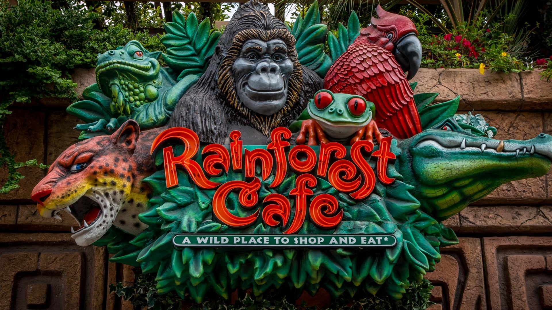 Rainforest Cafe Animal Kingdom: Menu, Hours, Location & More