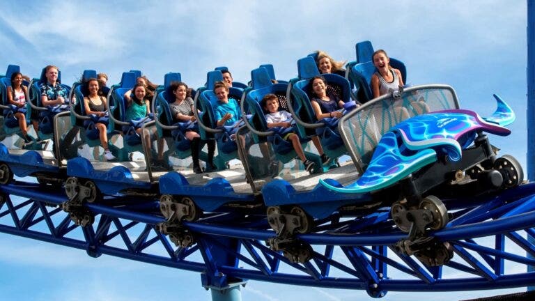 SeaWorld San Diego Rides: What to Ride & Skip, Plus Insider Tips