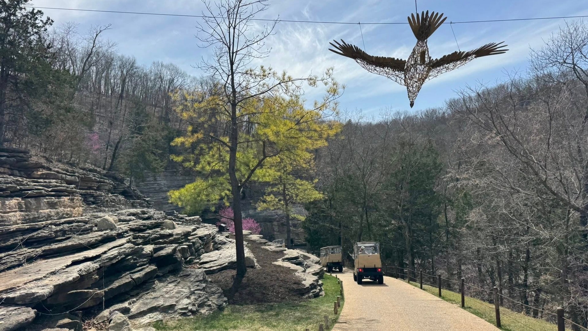 Top of the Rock Golf Cart Tour Coupon: Up To 30% Off Now (2026)