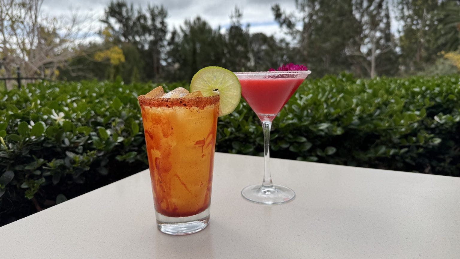 The Prado at Balboa Park: Cocktails, Canapés, & Patio Perfection