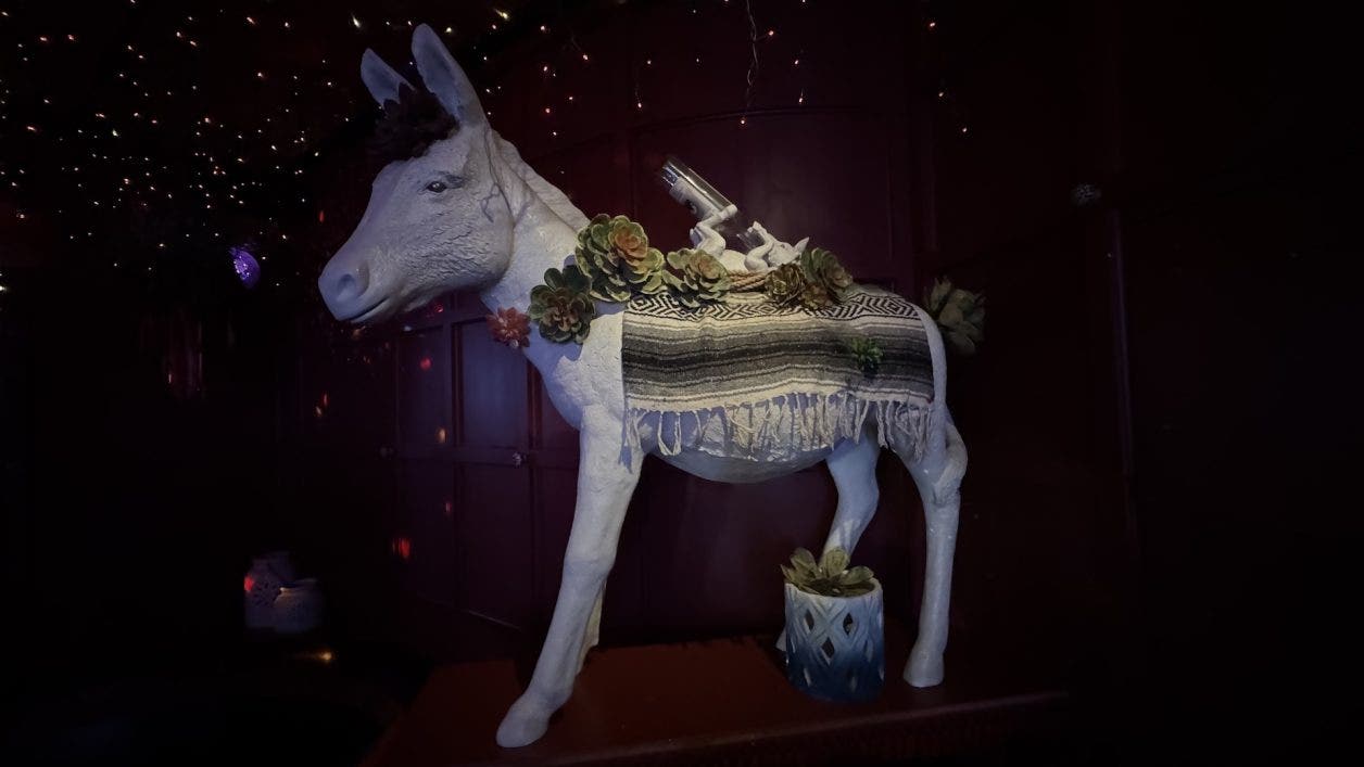 Ghost Donkey: Nachos, Neon, and Not-So-Secret Doors