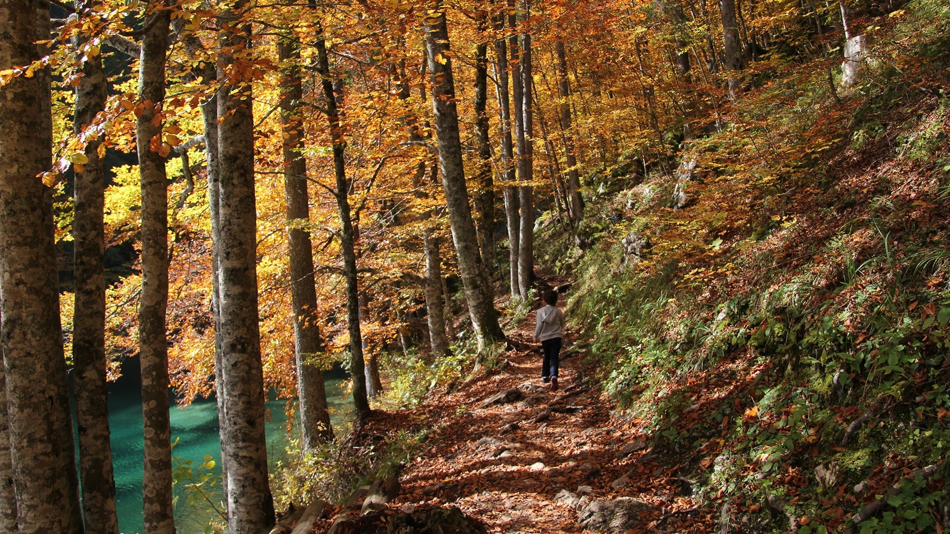 Gatlinburg TN Weather in September: What to Pack, Wear & Plan