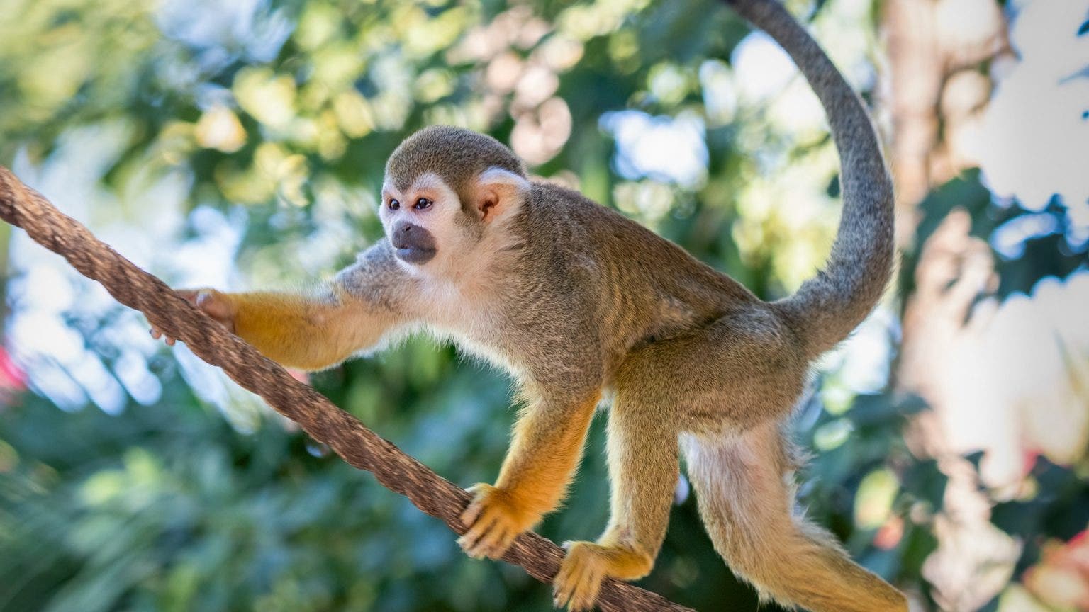 Phoenix Zoo Events 2026: Top Events & Seasonal Highlights