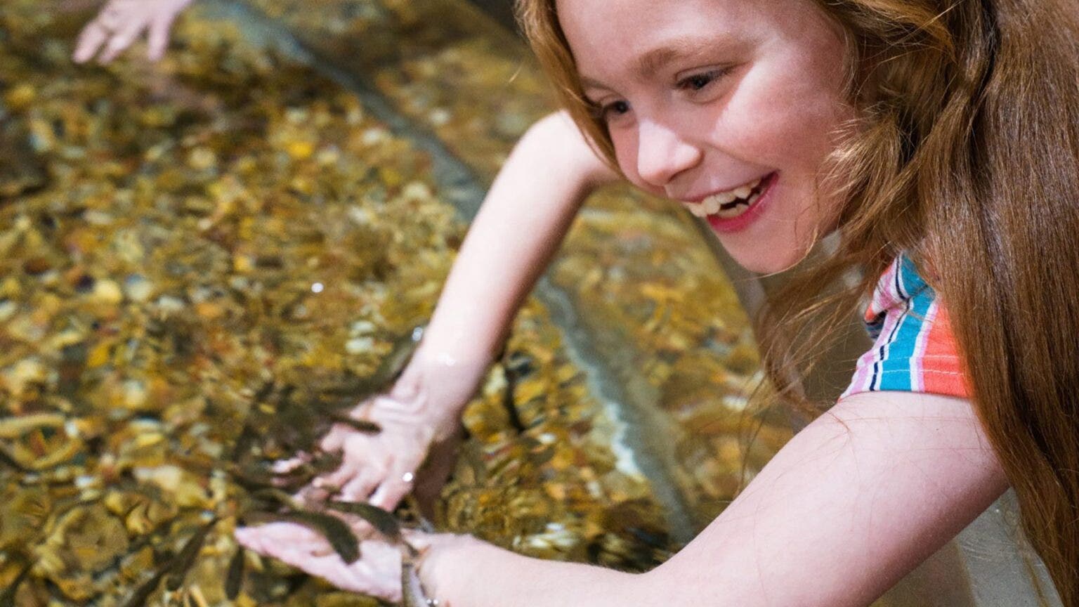 City Museum St Louis Promo Code: Up To 21% Off Now (2026)