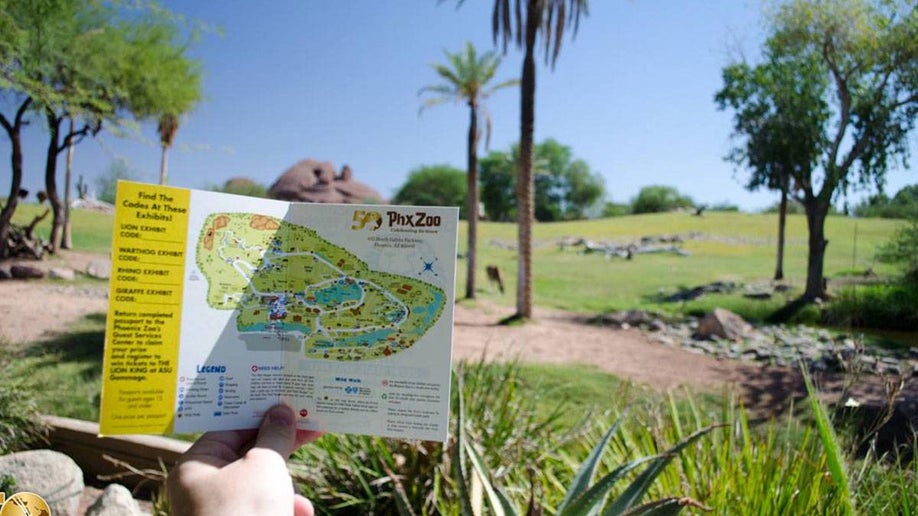 Insider’s Guide to Phoenix Zoo - Tripster Travel Guide