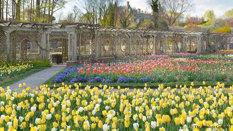 Biltmore Estate Fall: 11 Reasons You Should Be Here