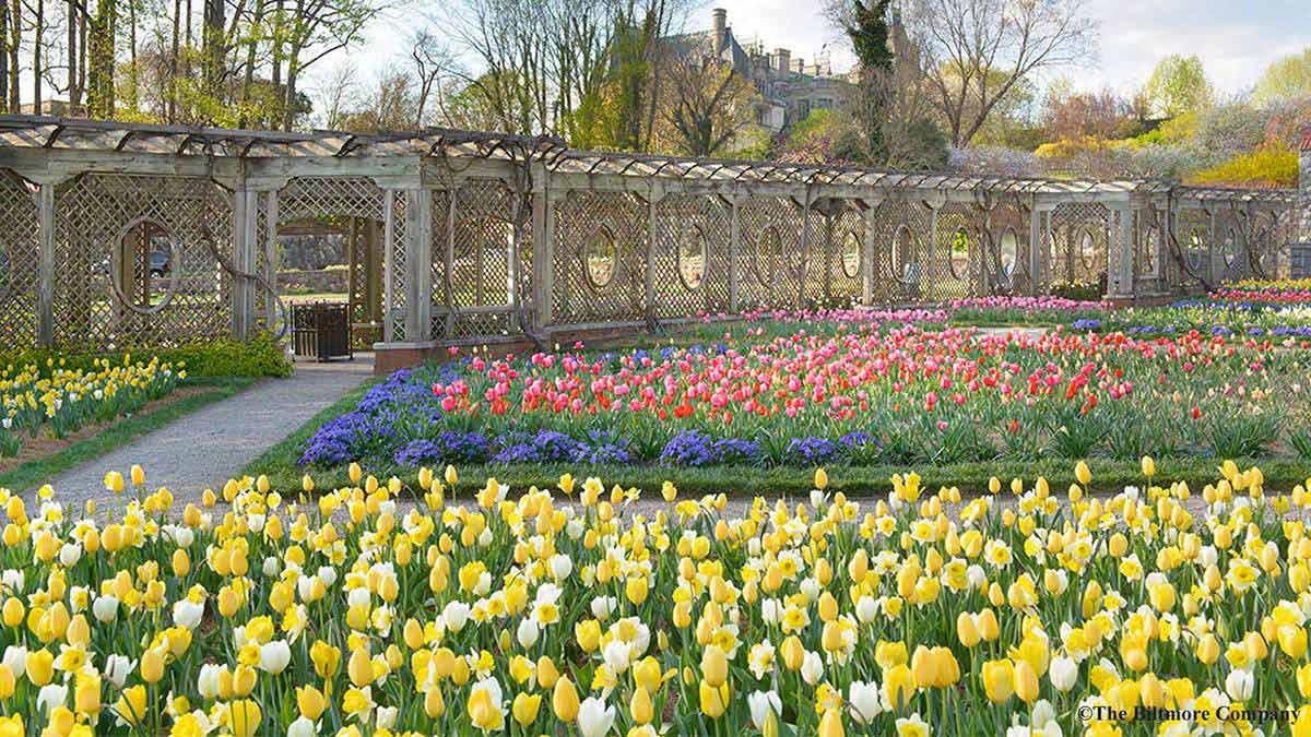 Biltmore Estate Fall: 11 Reasons You Should Be Here