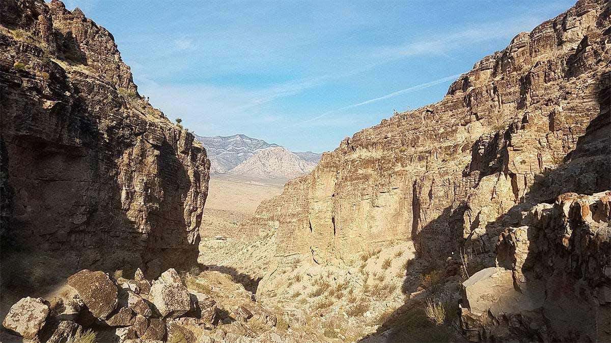 Dog Friendly Hotels Las Vegas 🐶 5 Best Places to Stay