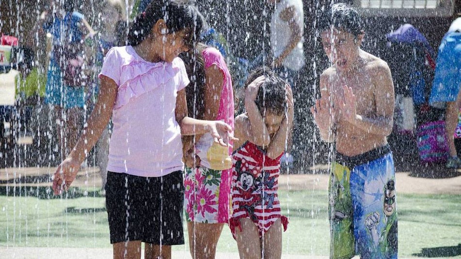 Phoenix Zoo Discount Tickets: 2023 Ultimate Guide