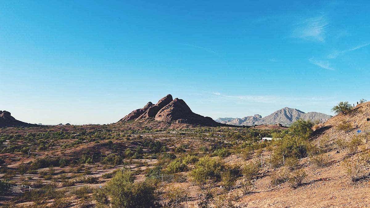 Free Things to Do in Phoenix: 8 Must-Try Activities